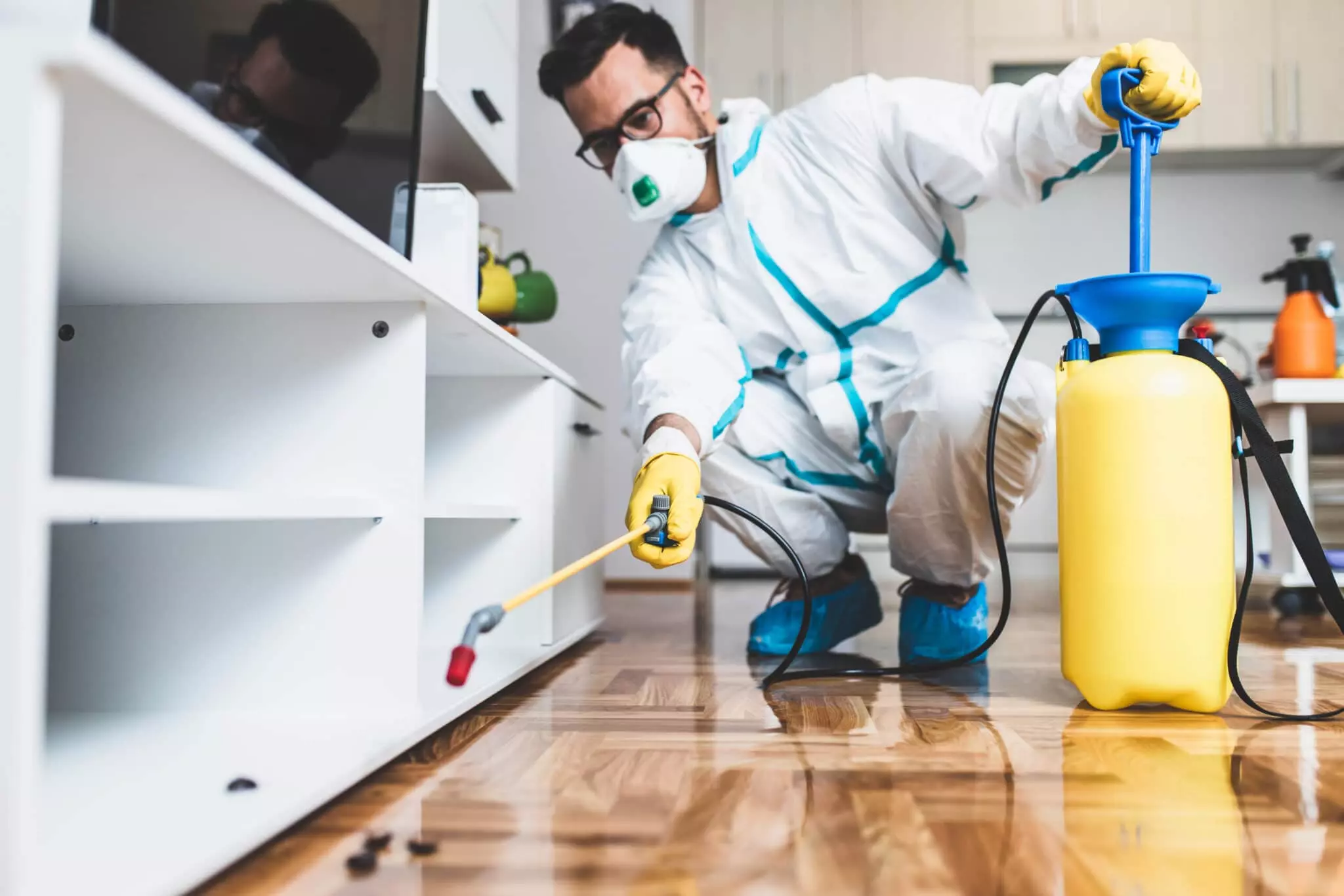 What is Pest Control? - Bravoex